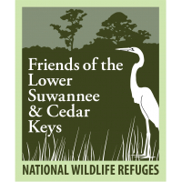 Friends of the Lower Suwannee and Cedar Keys National Wildlife Refuges ...