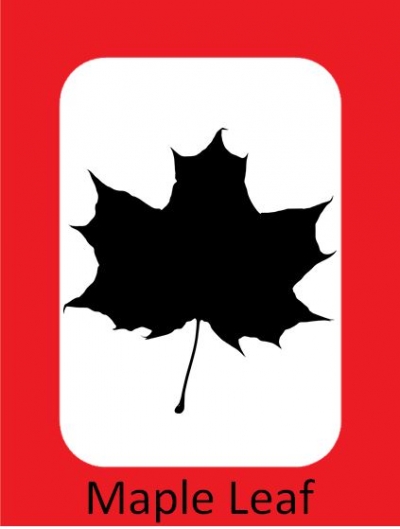 Maple Leaf Mountain Biking Route | Trailforks