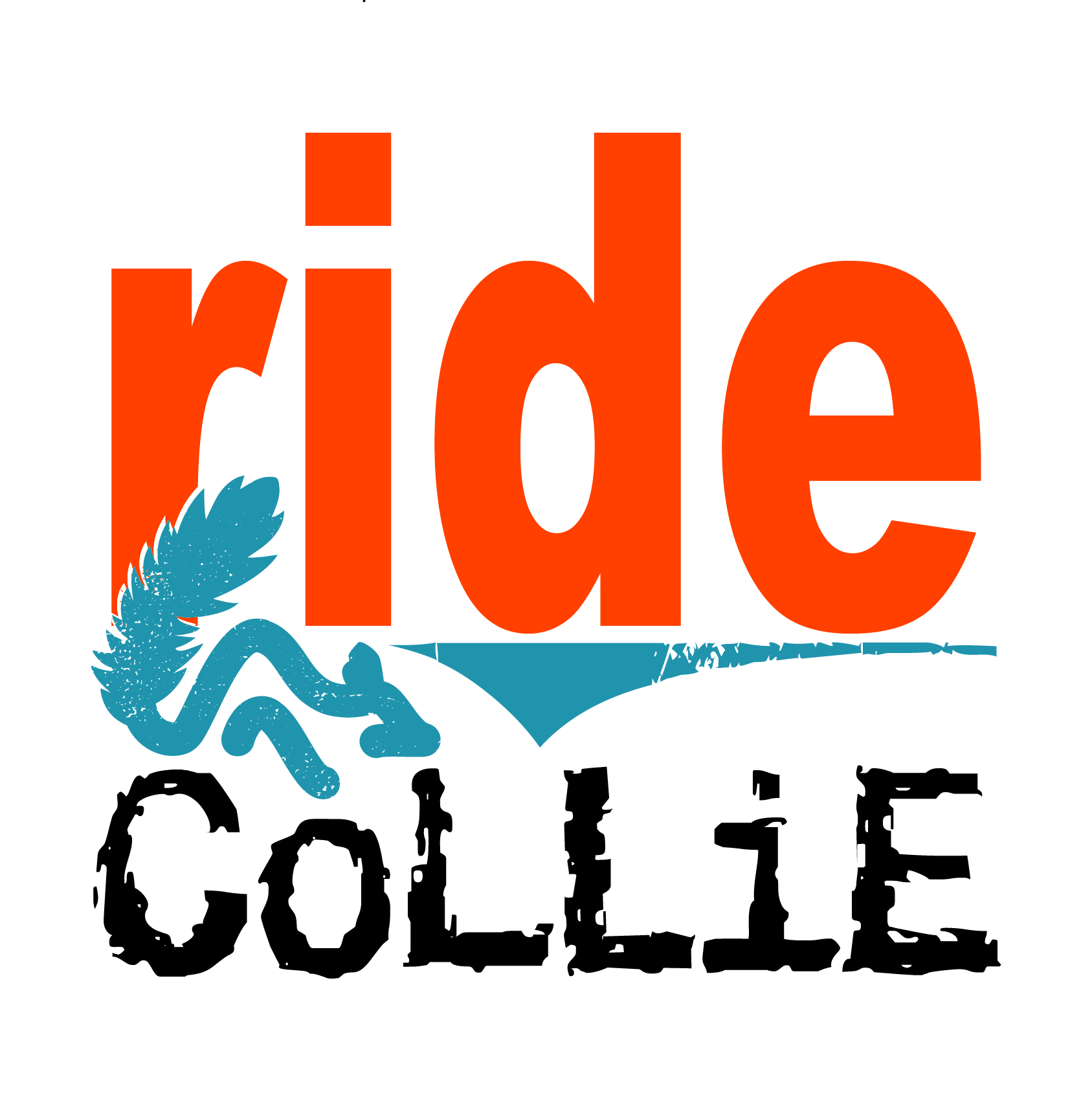 70km Synergy Collie River MTB Marathon Route 2025 Mountain Biking Route ...