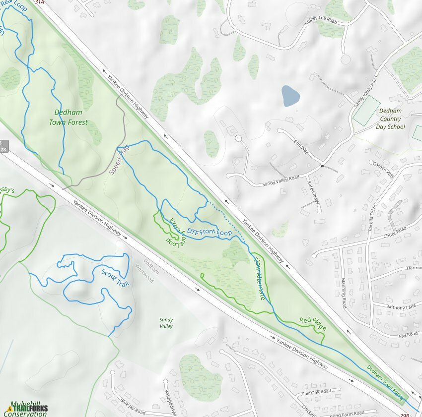 Dedham Town Forest, Dedham Mountain Biking Trails | Trailforks