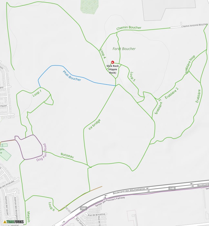 Parc de la Forêt-Boucher Mountain Biking Trails | Trailforks
