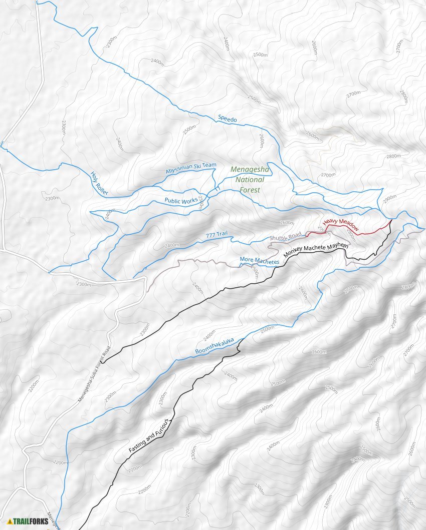 Menagesha Suba Forest Park Mountain Biking Trails | Trailforks