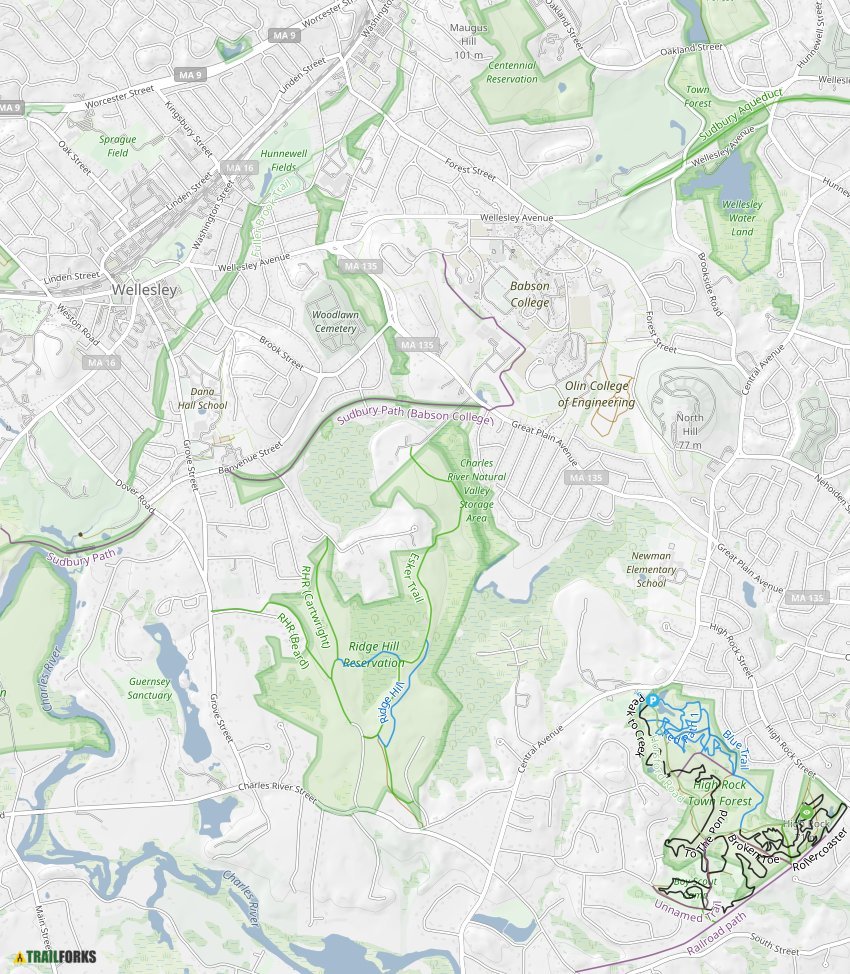 Needham Town Forest Mountain Biking Trails | Trailforks