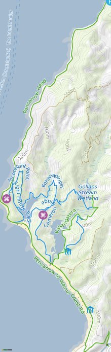 Pencarrow Head Mountain Biking Trails | Trailforks