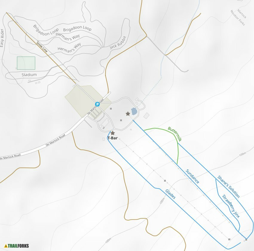 Ski Martock Skiing Trails | Trailforks