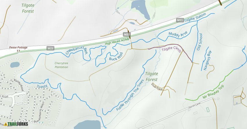 Tilgate Forest Mountain Biking Trails | Trailforks