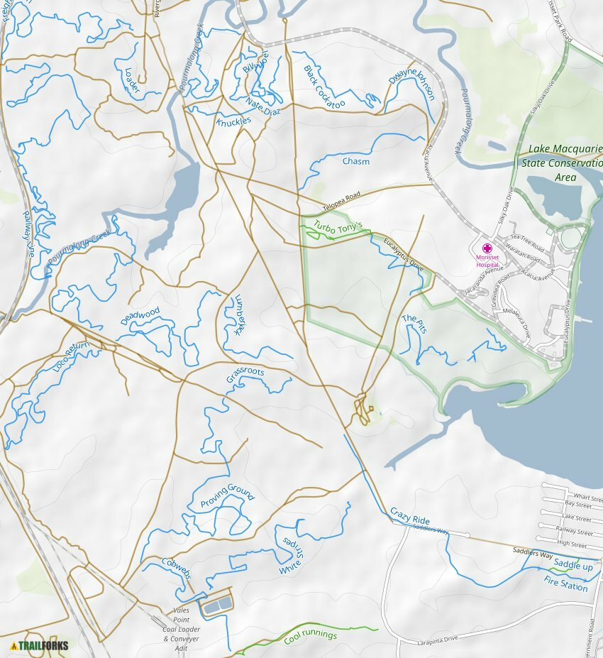 Wyee Point, Morisset Mountain Biking Trails | Trailforks