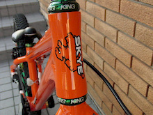 Inspired-SKYE Photo Album - Pinkbike