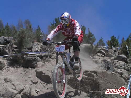 Utopia Optics Wins Gold around the World! - Pinkbike