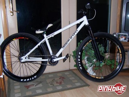 Nemesis Project Cycles-2007 Team - Pinkbike