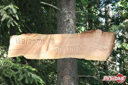 Top Pros Crown Vernon's "Welcome to Gnarnia" as Best Section at Red ...