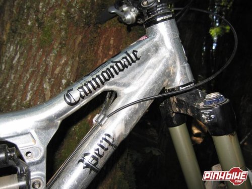 The Cannondale Perp-Likely to Re-Offend! - Pinkbike