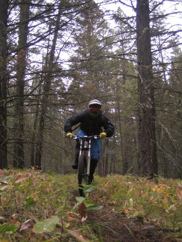 Sun Ringle Str8 Track Wheel Set-Jumping Flea Hubs and Single Track rims ...