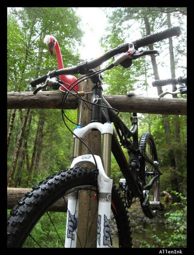 Tomac Snyper 1401: Trail Bike of The Gods - Pinkbike