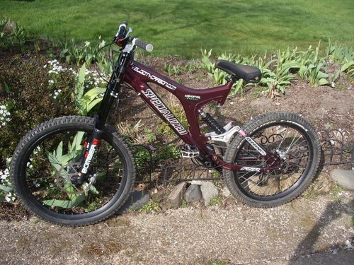 First Full-suspension DH bike? - Pinkbike Forum