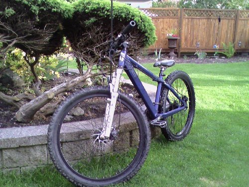 Trek. Should It Bring Back The Bruiser? - Page 2 - Pinkbike Forum