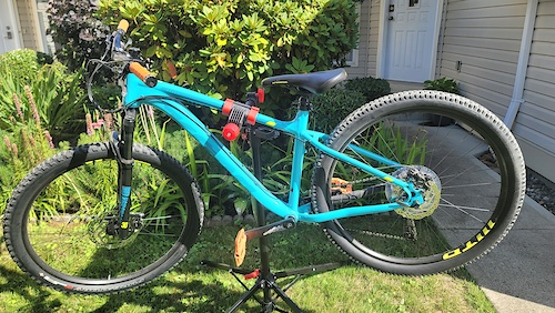 Pinkbike used store