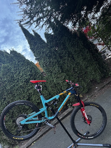 Results for "mountain bike" - Page 199 - Pinkbike BuySell Search