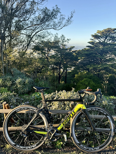 Results for propel Road Complete Bikes For Sale Buy and Sell Used Road Complete BikesPinkbike BuySell Search