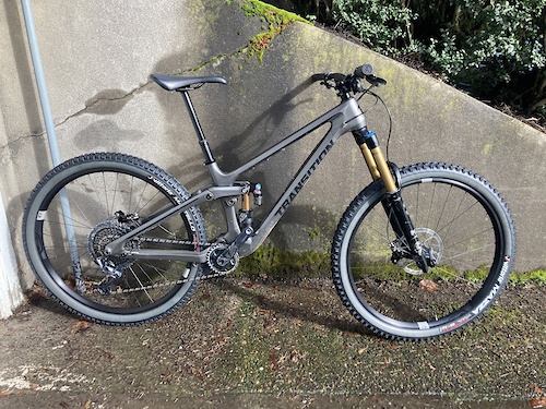 Transition sentinel sale store