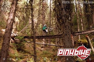 Andrew Pohlmann: Interview with the man who came from out of no where ...