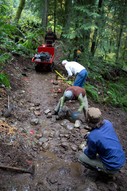 Silent Swamp Mountain Biking Trail - Issaquah, Washington
