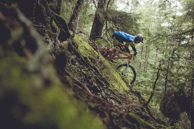 Bush Doctor Mountain Biking Trail - Whistler, BC