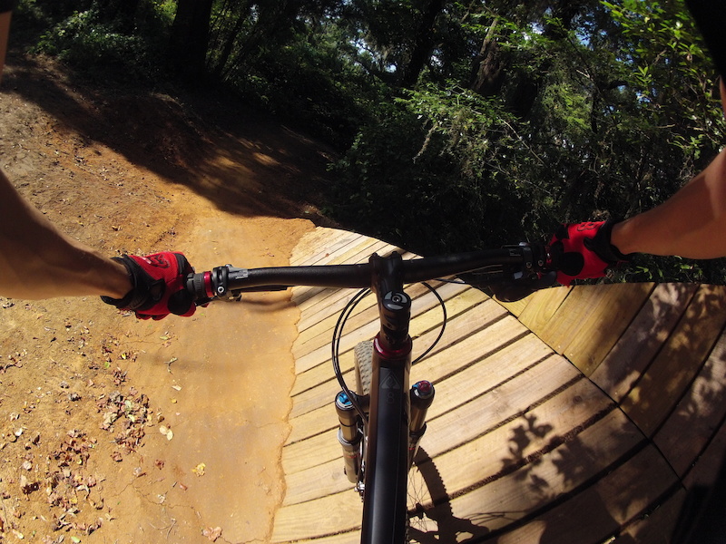 Magnolia Mountain Biking Trail - Tallahassee, Florida