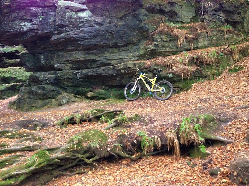 Menstrie, United Kingdom Mountain Biking Trails | Trailforks