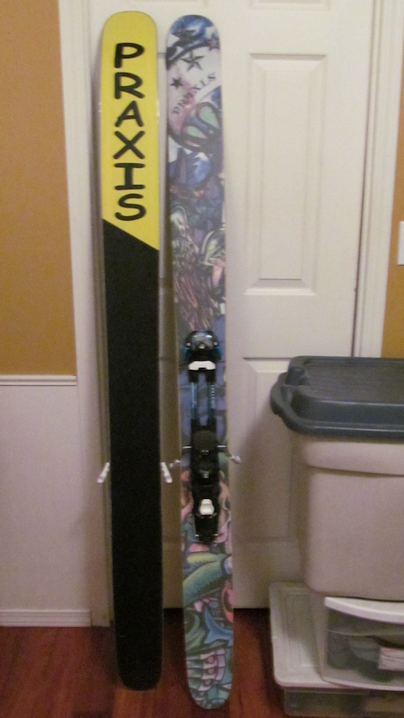 177 praxis protest w guardians For Sale