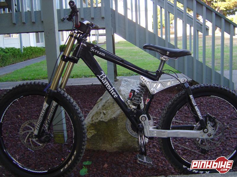 2003 Black Banshee Scream (small) For Sale