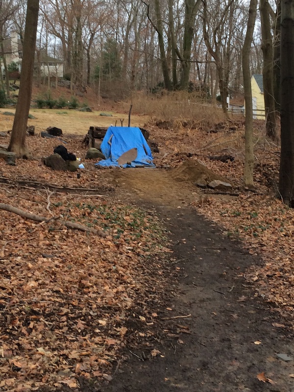 Jump Trail. Mountain Biking Trail - Madison, CT
