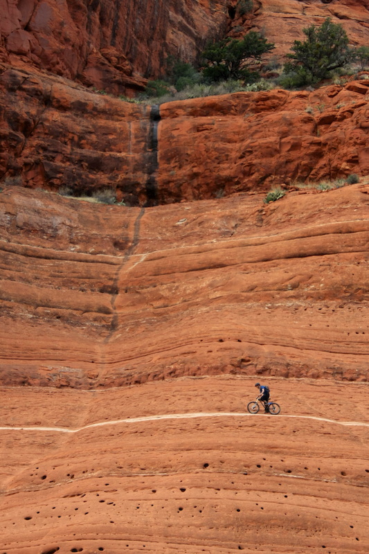 White Line Mountain Bike Trail, AZ | Trailforks