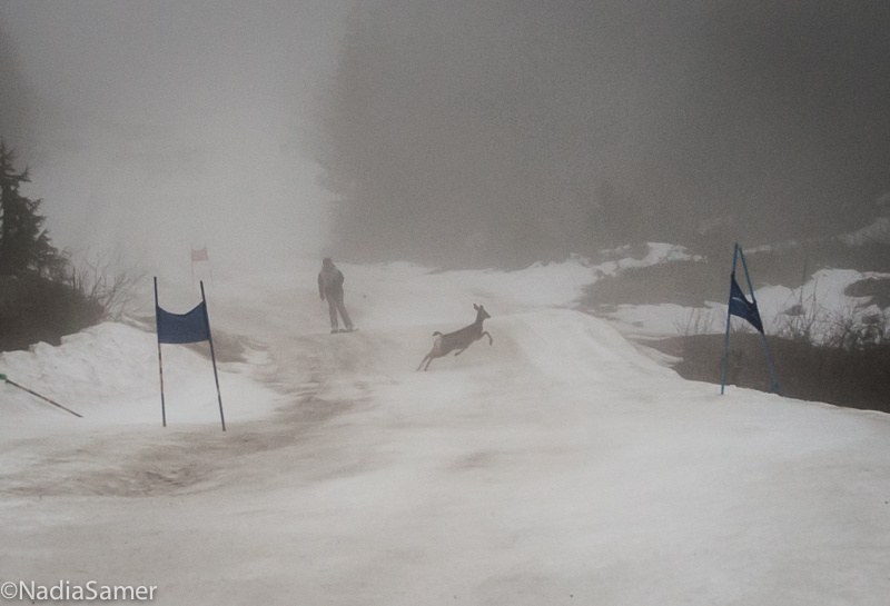 Annual Crud 2 Mud Race Lives up to its Name - Pinkbike