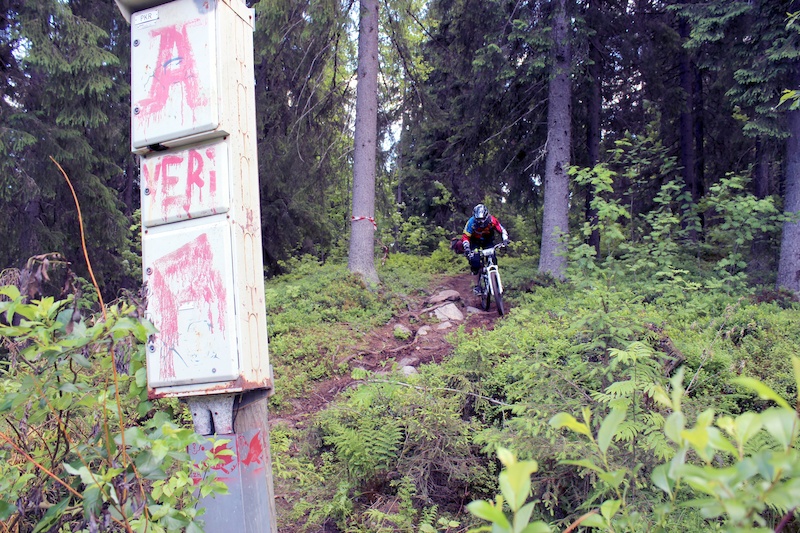 Vasuri Mountain Biking Trail - Jyväskylä | Trailforks