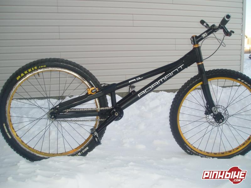 2008 Adamant A1 For Sale