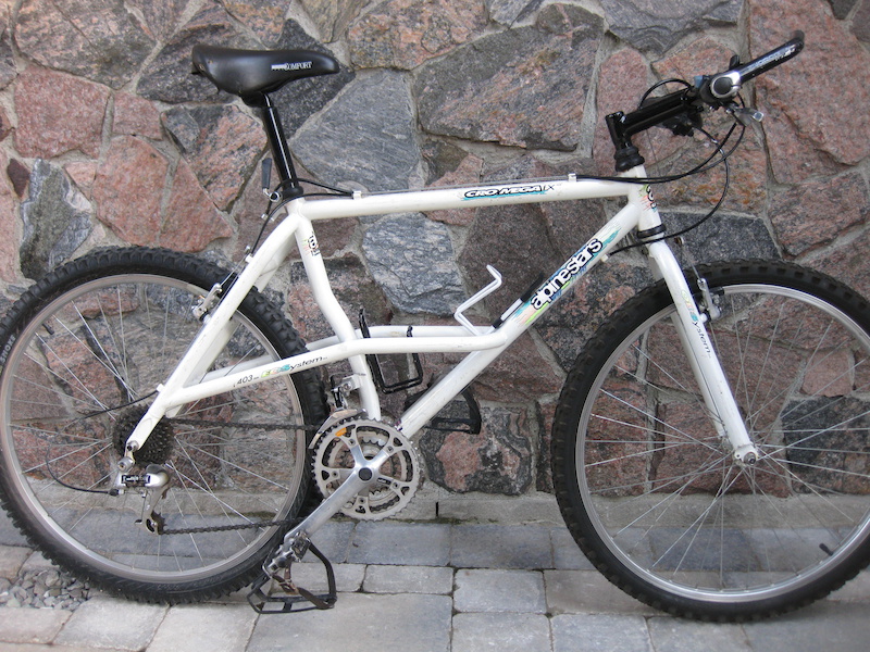 Alpinestars retro mountain bike - very rare For Sale