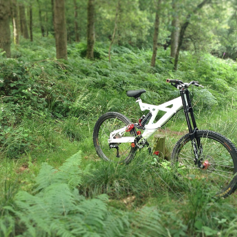 Custom Built Coyote DH3 Downhill Bike For Sale