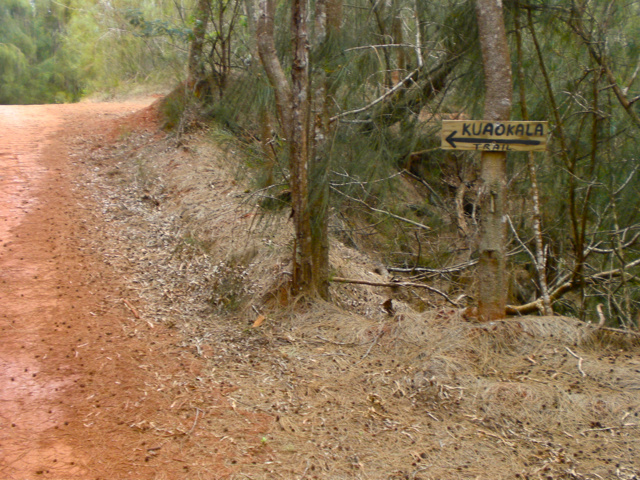 Kuaokala Firebreak Road Mountain Biking Trail - Mokuleia
