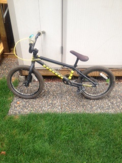 2012 Nitrous Lowdown 18" BMX For Sale