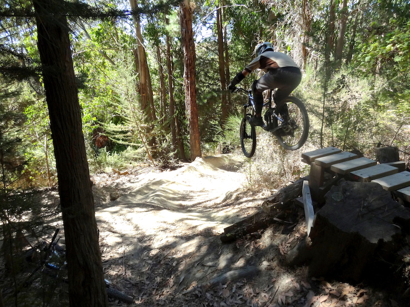 Shazza's Ladder Drop POI | Trailforks