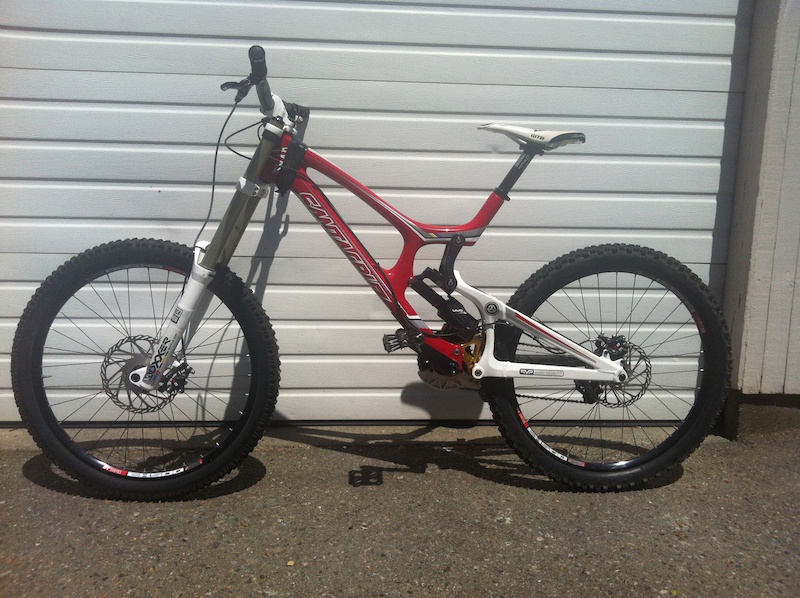 2010 Santa Cruz V10 Carbon Syndicate Team Replica DH For Sale