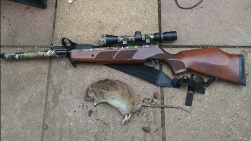 BSA .22 Lightning XL Break Barrel For Sale