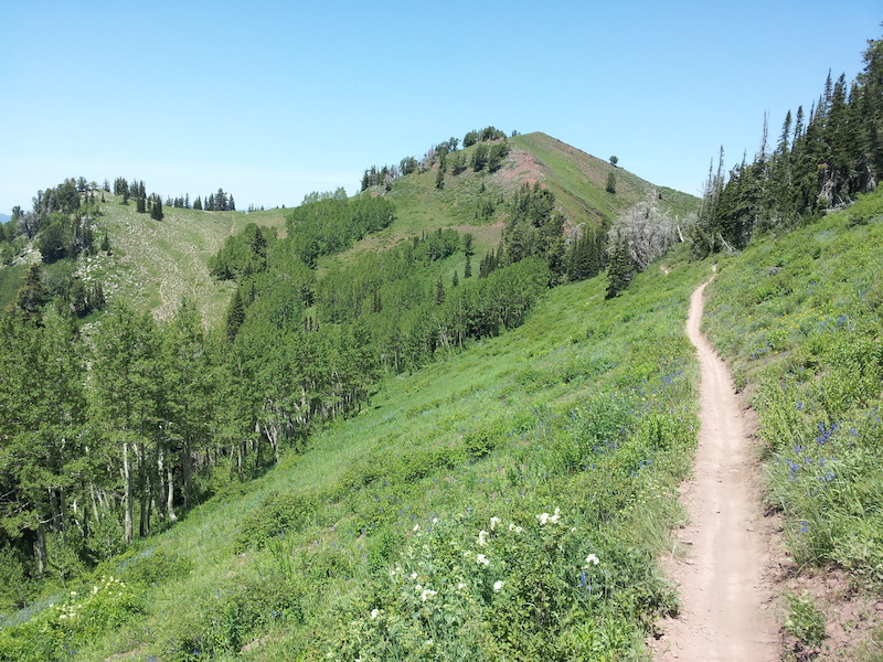 Great Western Trail - GPS Map | Trailforks