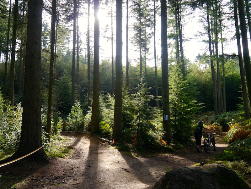 Rogate Downhill: Mini DH - Pinkbike