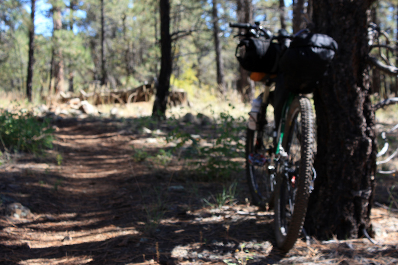 South Sycamore Rim Multi Trail - Williams, AZ