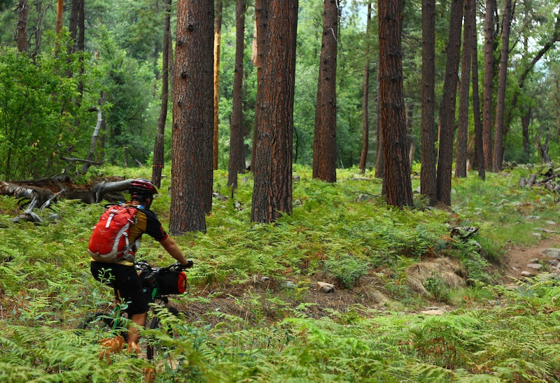 Highline Trail (260 TH to See Canyon) Multi Trail - Payson, AZ
