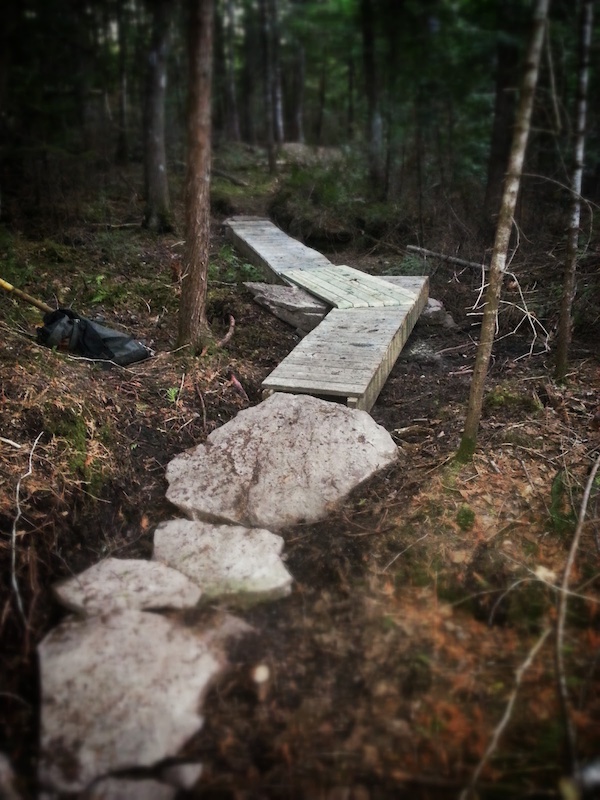 Woodlot to Farm Loop Mountain Biking Route | Trailforks