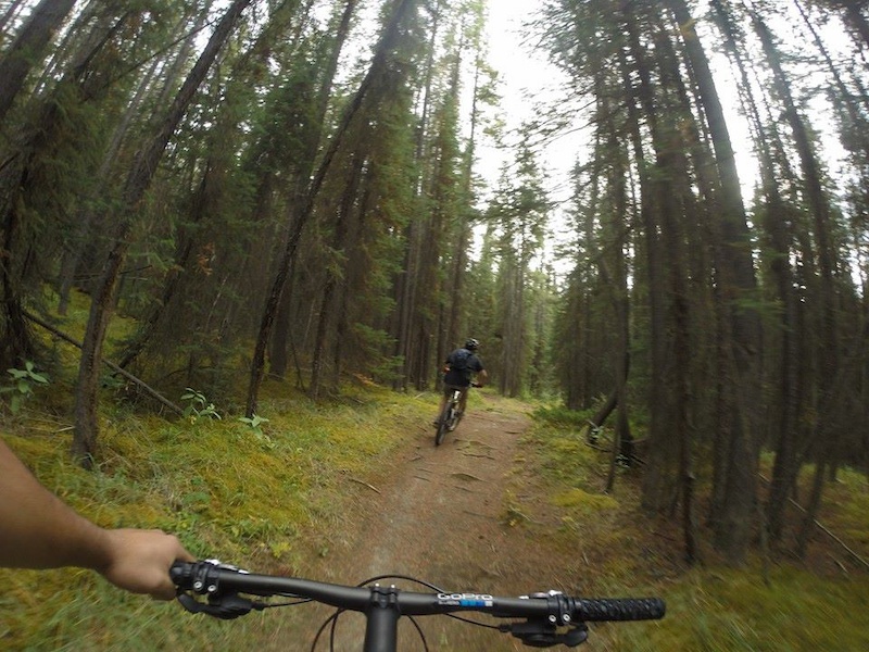 Trail 7 (5th to 6th bridge) Multi Trail - Jasper, Alberta