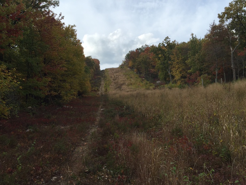 Sassafras Trail-(lower) Multi Trail - State College